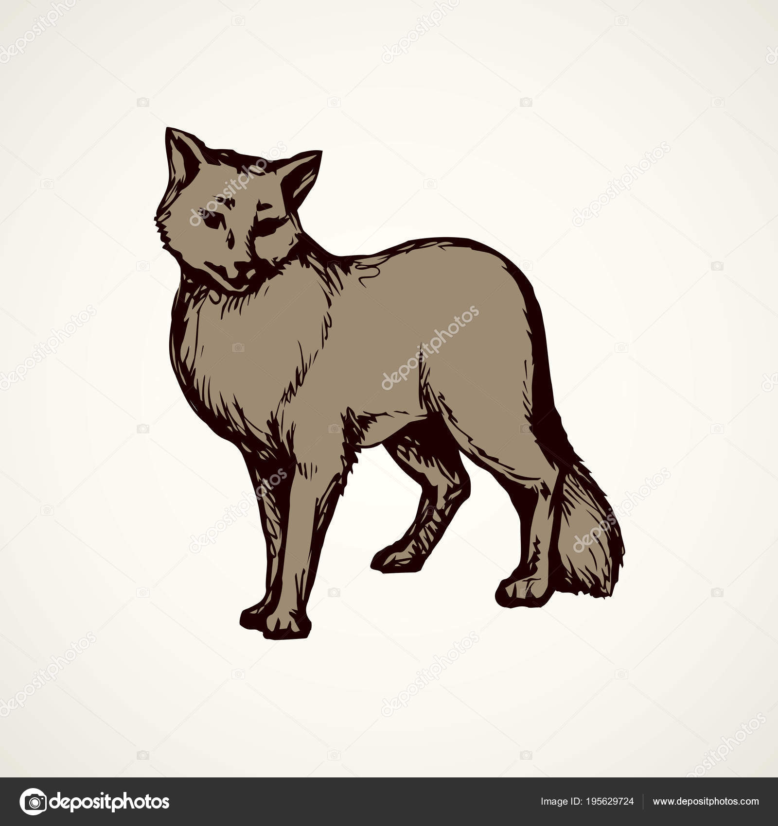 Wolf. Vector drawing Stock Vector Image by ©Marinka #195629724