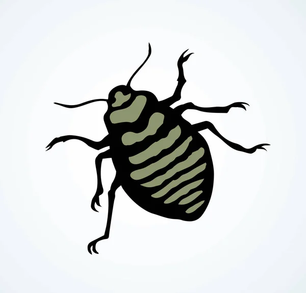 Colorado beetle. Vector drawing bug Stock Vector Image by ©Marinka ...
