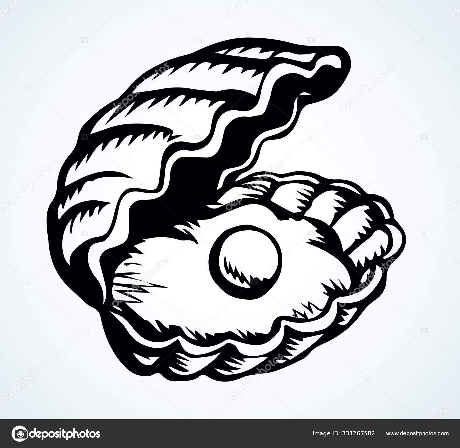 Pearl In Shell Drawing