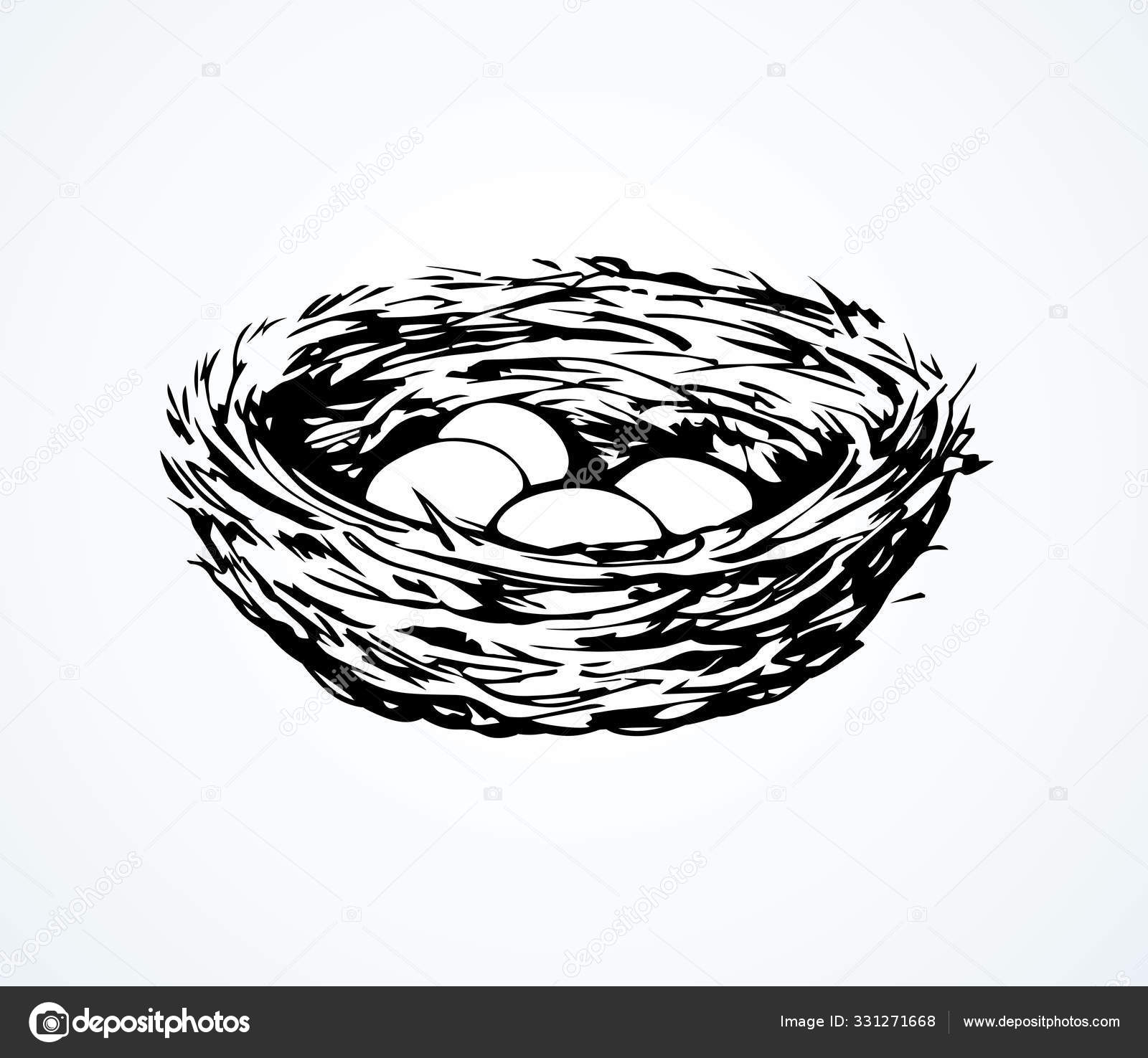 Clipart De Nid D'oiseau Vintage