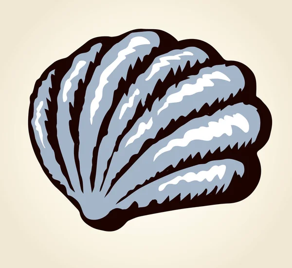 Coquille de pecten Vector Art Stock Images | Depositphotos