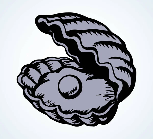 Pecten shell Vector Art Stock Images | Depositphotos