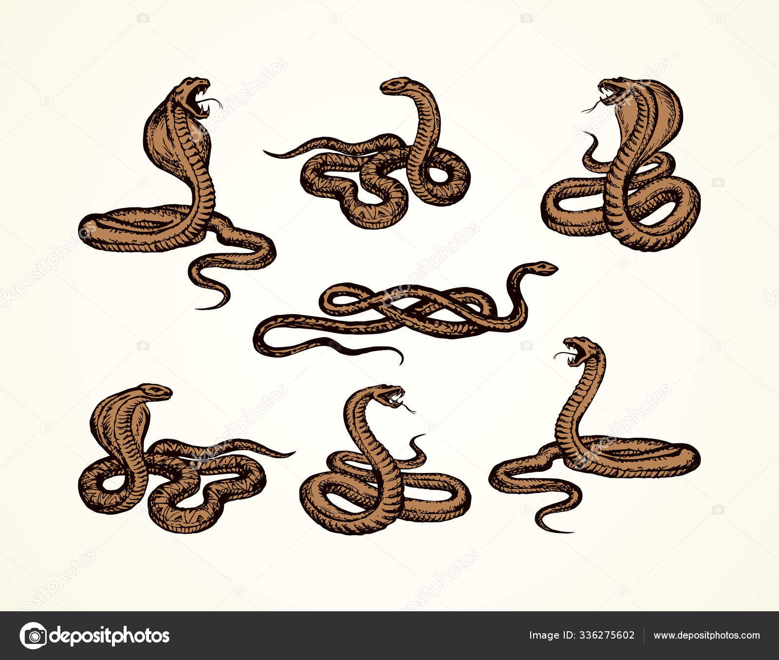 Snake. Vector drawing Stock Illustration by ©Marinka #336275602