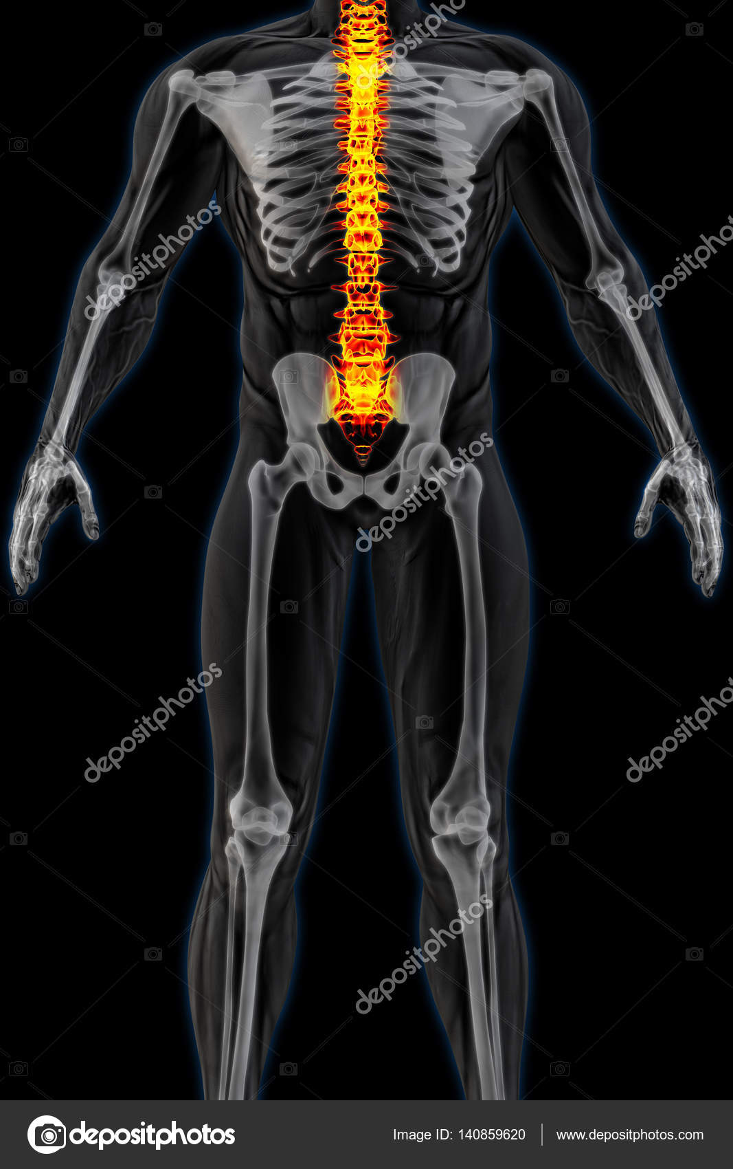 Male body under X-ray Stock Photo by ©dimdimich 140859620