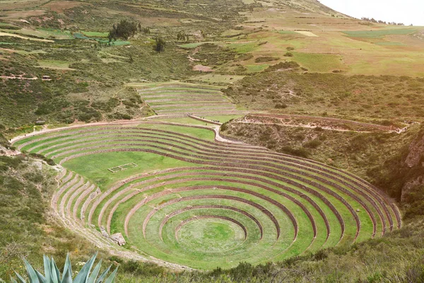 Moray peru Stock Photos, Royalty Free Moray peru Images | Depositphotos