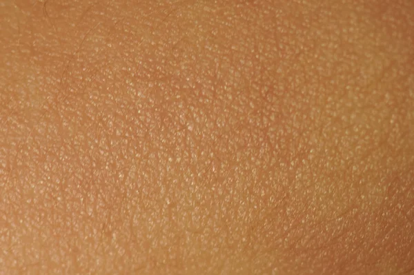 Tan Skin Texture
