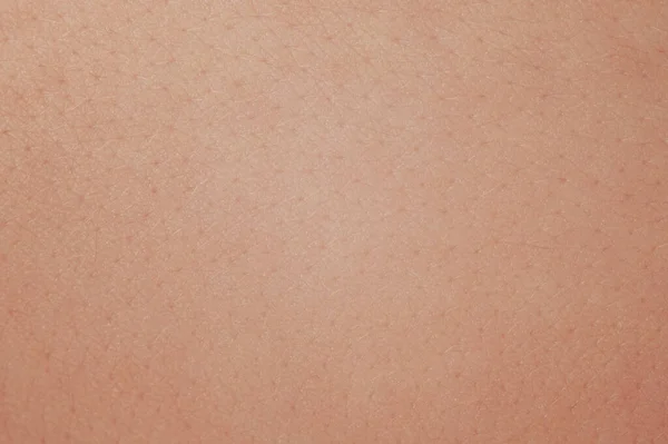 Ludzka skóra tekstura Stock Photos, Royalty Free Ludzka skóra tekstura ...