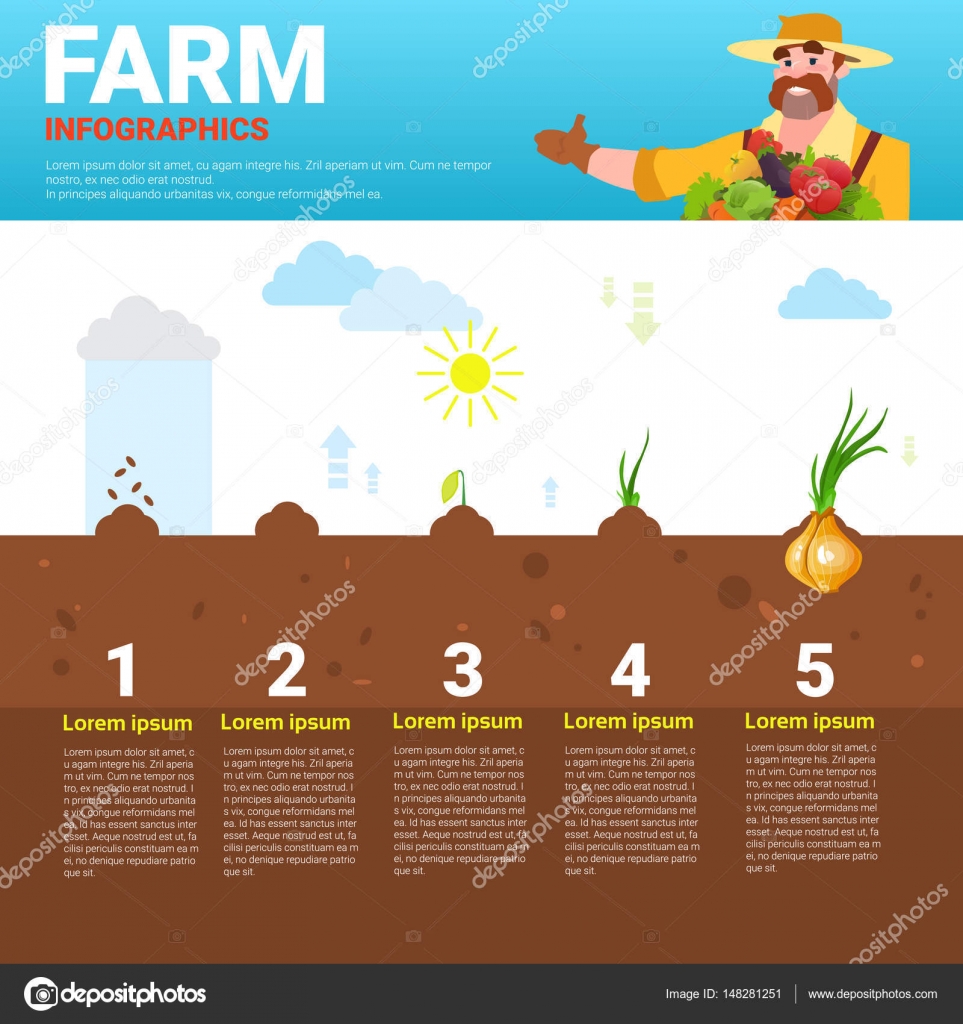 Farming Infographics Eco Friendly Organic Natural vegetable Growth Farm ...