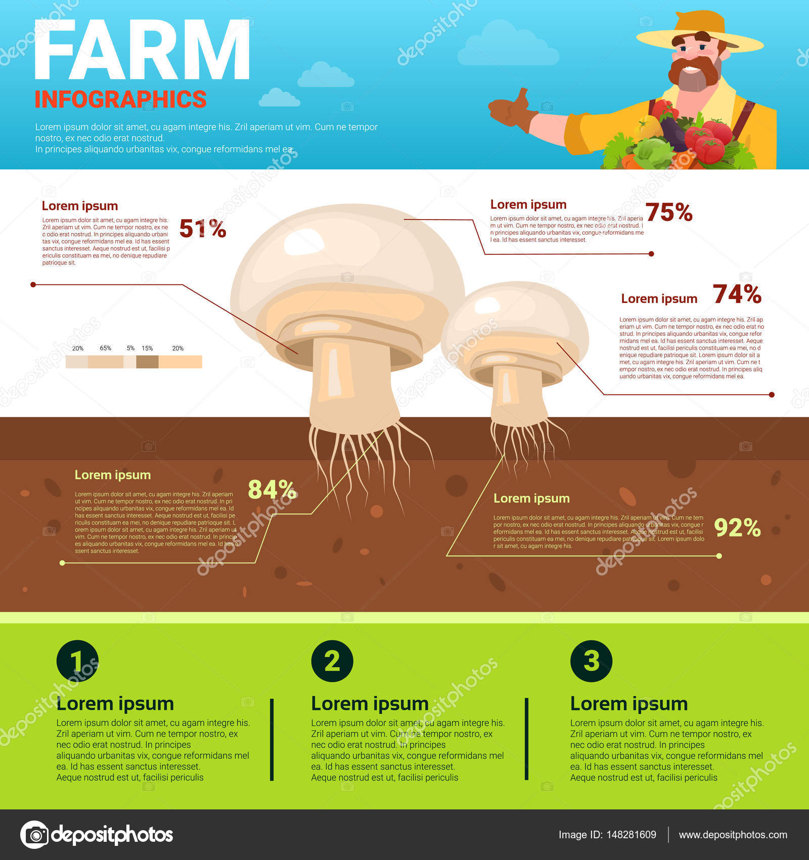 Farming Infographics Eco Friendly Organic Natural vegetable Growth Farm ...