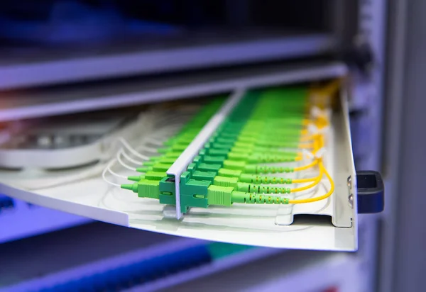 Fiber Optic cables connected to an optic ports - Stock Image - Everypixel