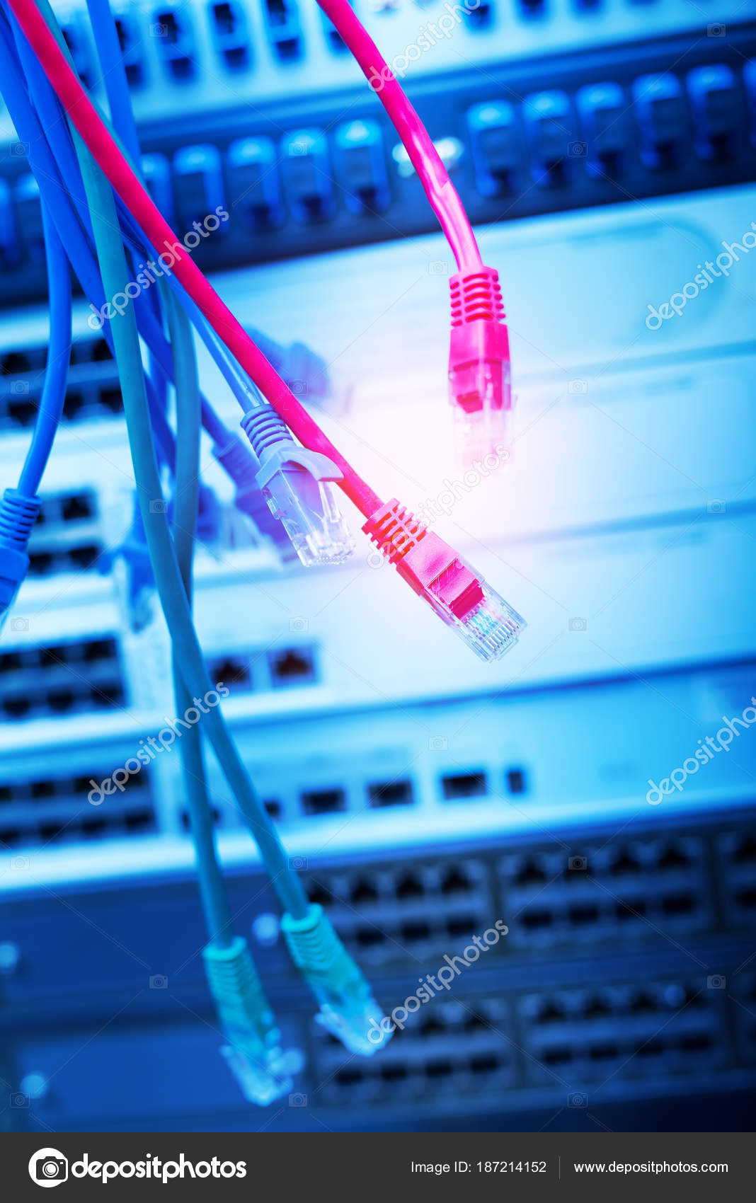 Ethernet Cable Network Switches Background Stock Photo by ©firefox ...