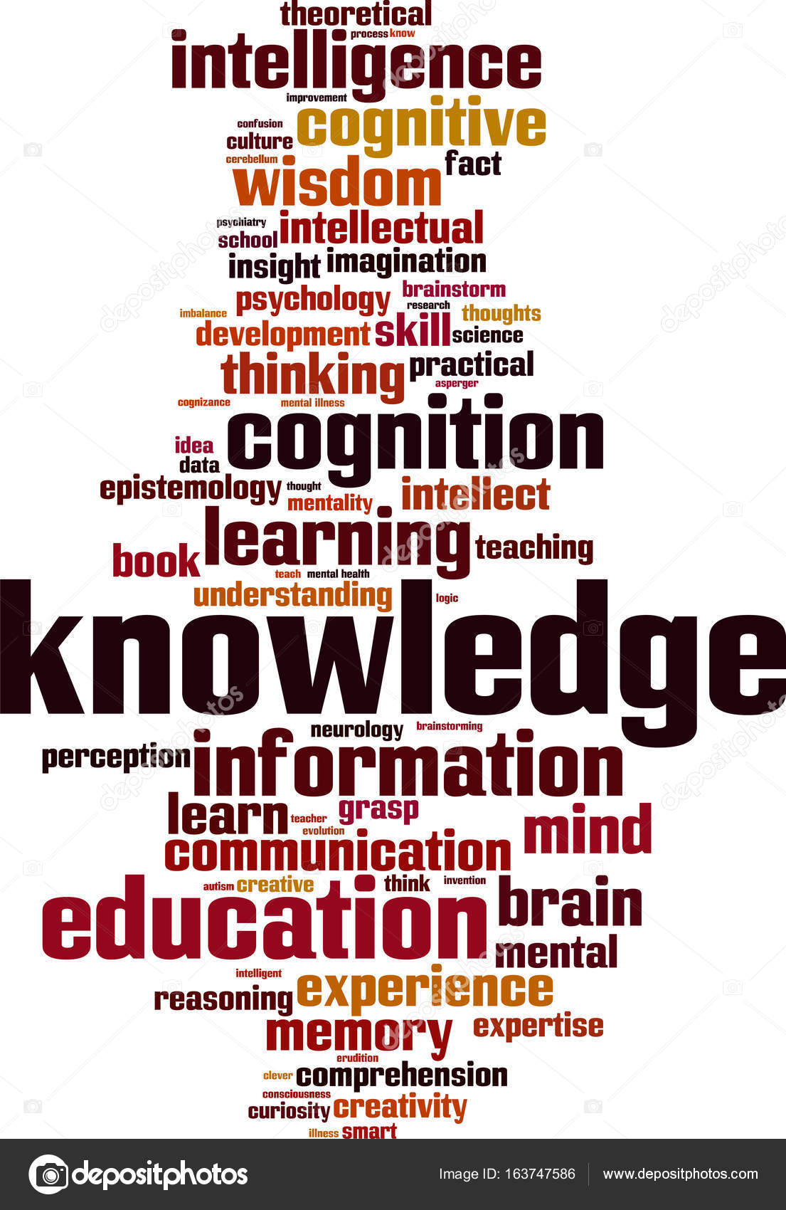Knowledge word cloud Stock Vector Image by ©Boris15 #163747586