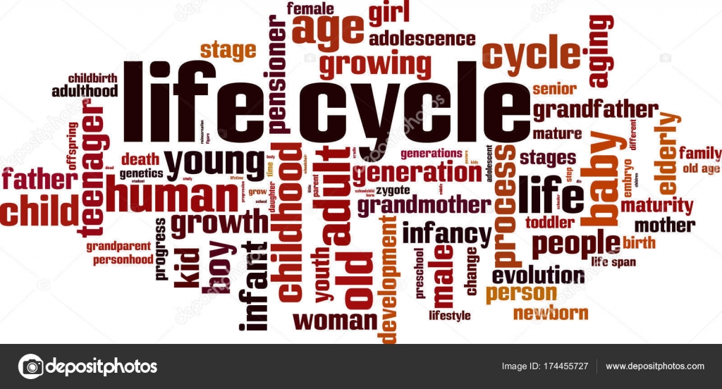 Life cycle word cloud Stock Vector by ©Boris15 174455727