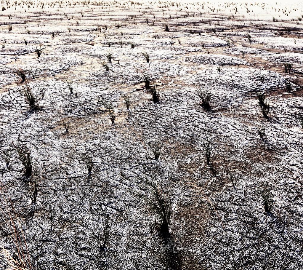 Drought land close up — Stock Photo © kamchatka #125717308