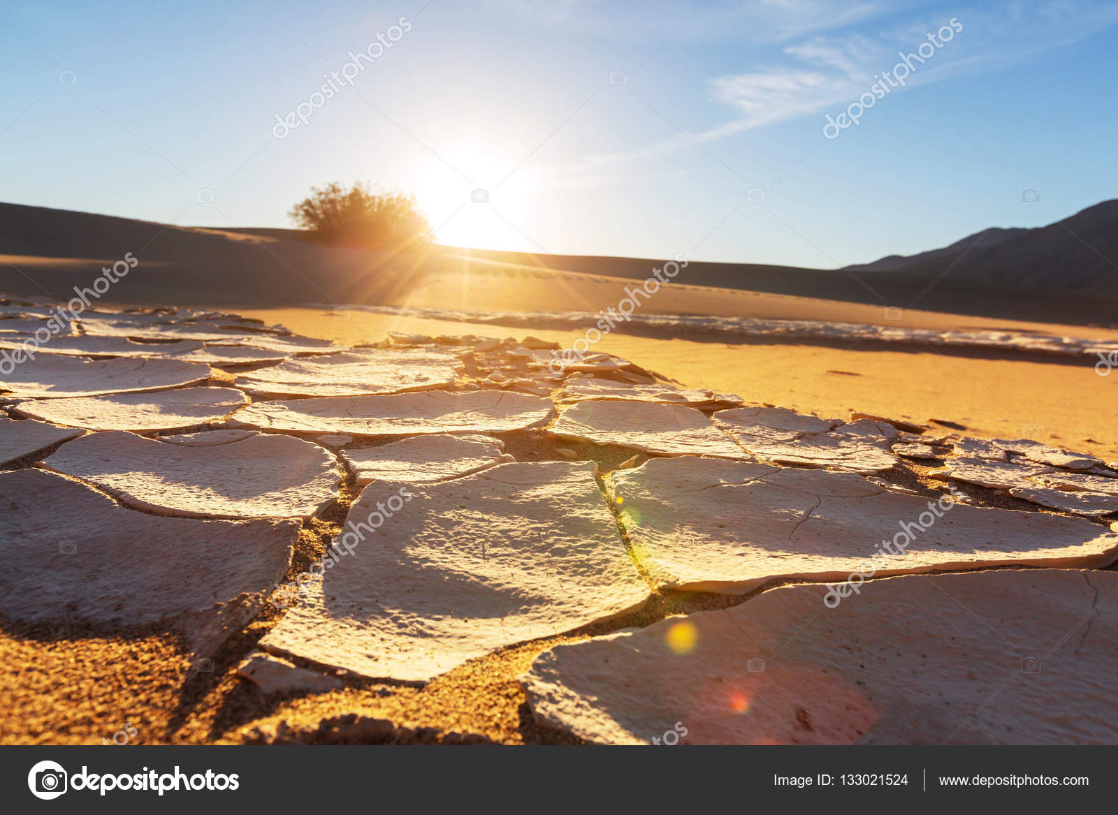 Drought land scene — Stock Photo © kamchatka #133021524