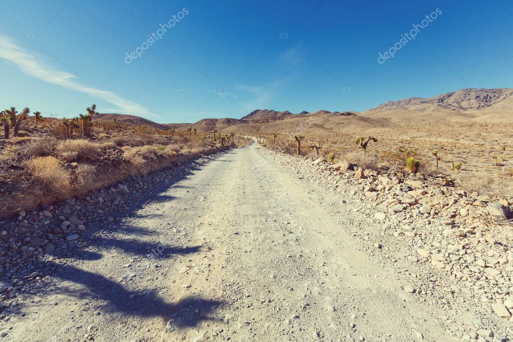 Prairie desert landscapes — Stock Photo © kamchatka #139809692