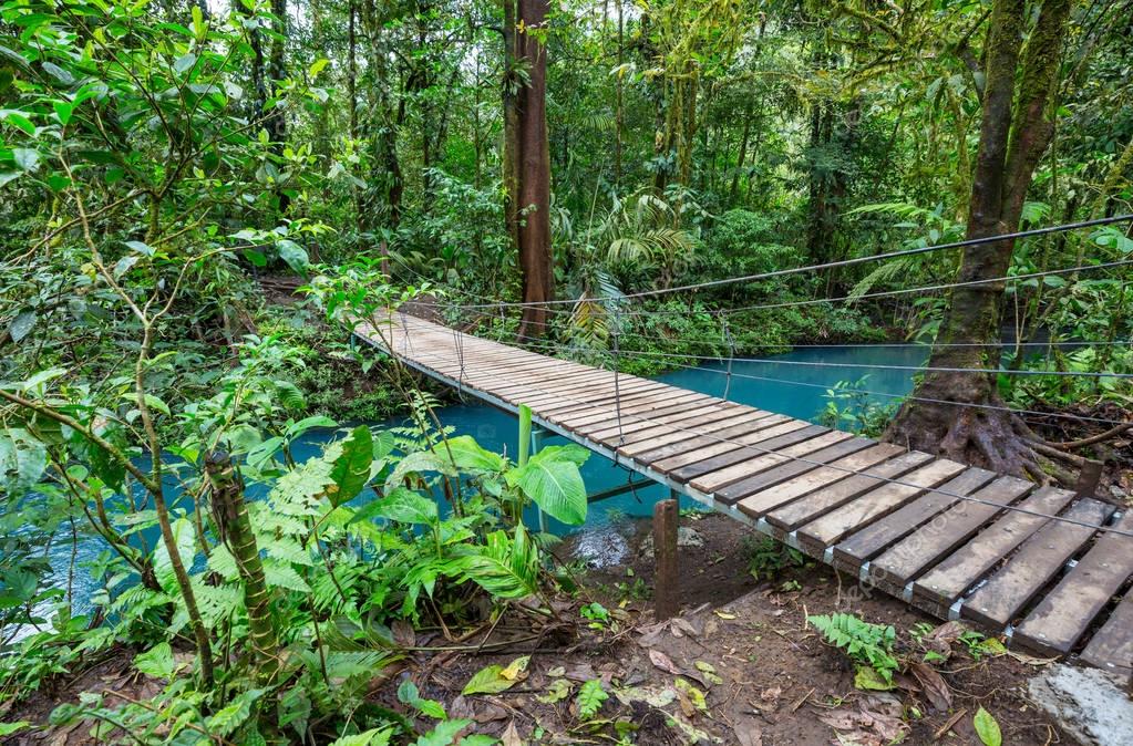 Puente de entrega en selva verde, Costa Rica, Centroamérica 2023