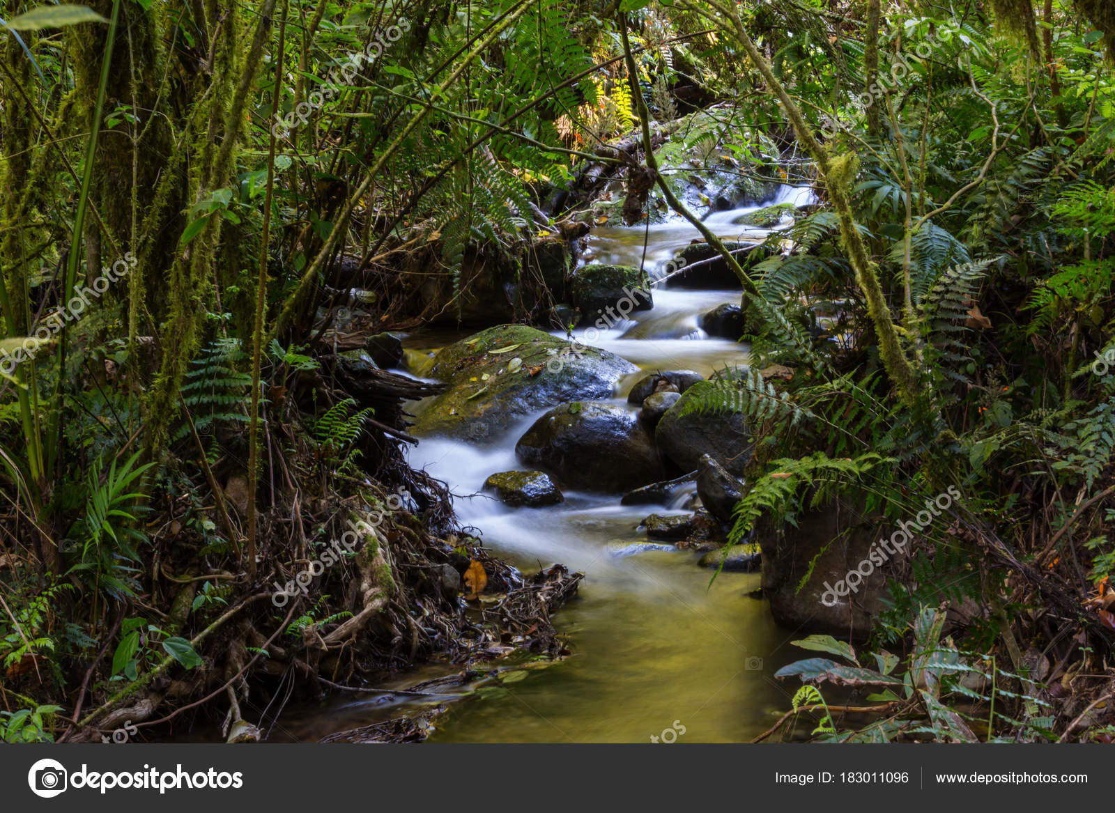 Beautiful Stream Water Flowing Rain Forest Costa Rica Central America ...