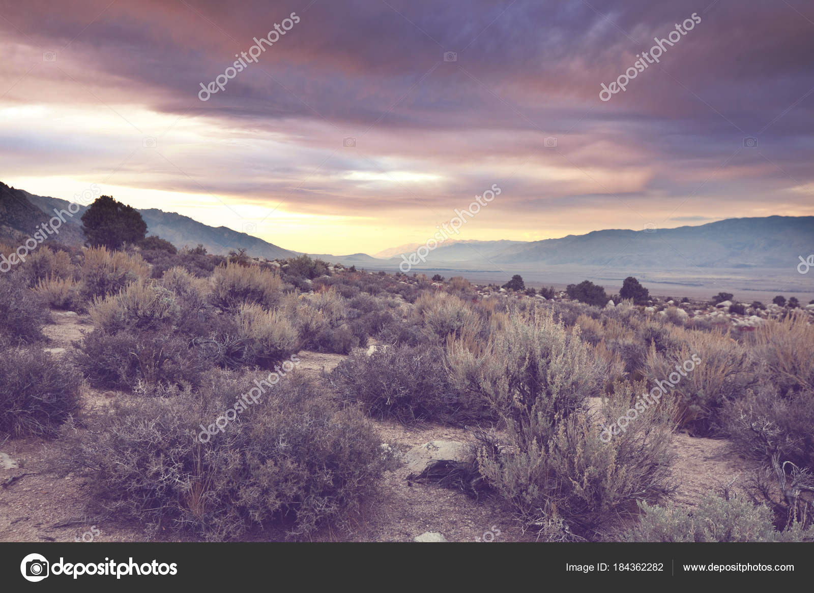Prairie Landscapes Nature Background Stock Photo by ©kamchatka 184362282