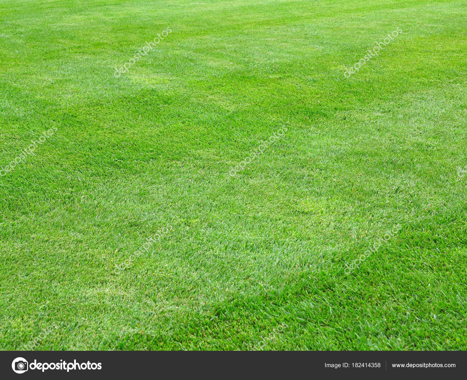 Stiped Lawn Background