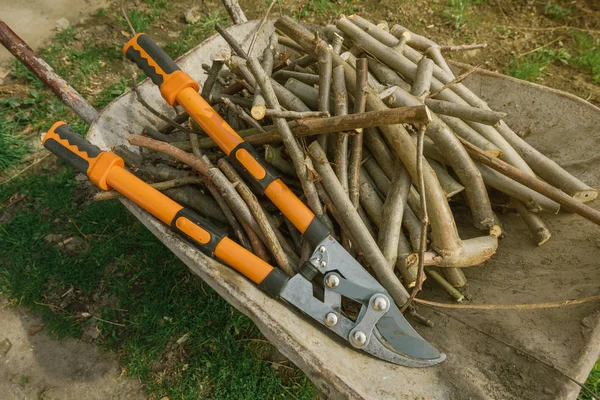 Lopper Stock Photos, Royalty Free Lopper Images | Depositphotos