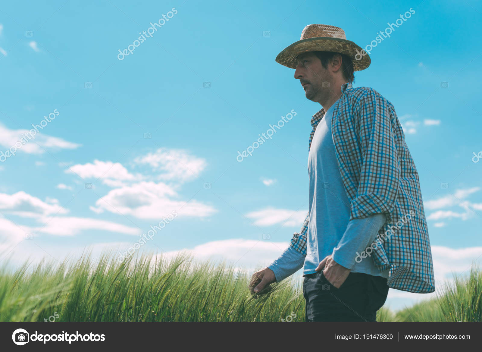 Male farmer walking through wheat field Stock Photo by ©stevanovicigor ...