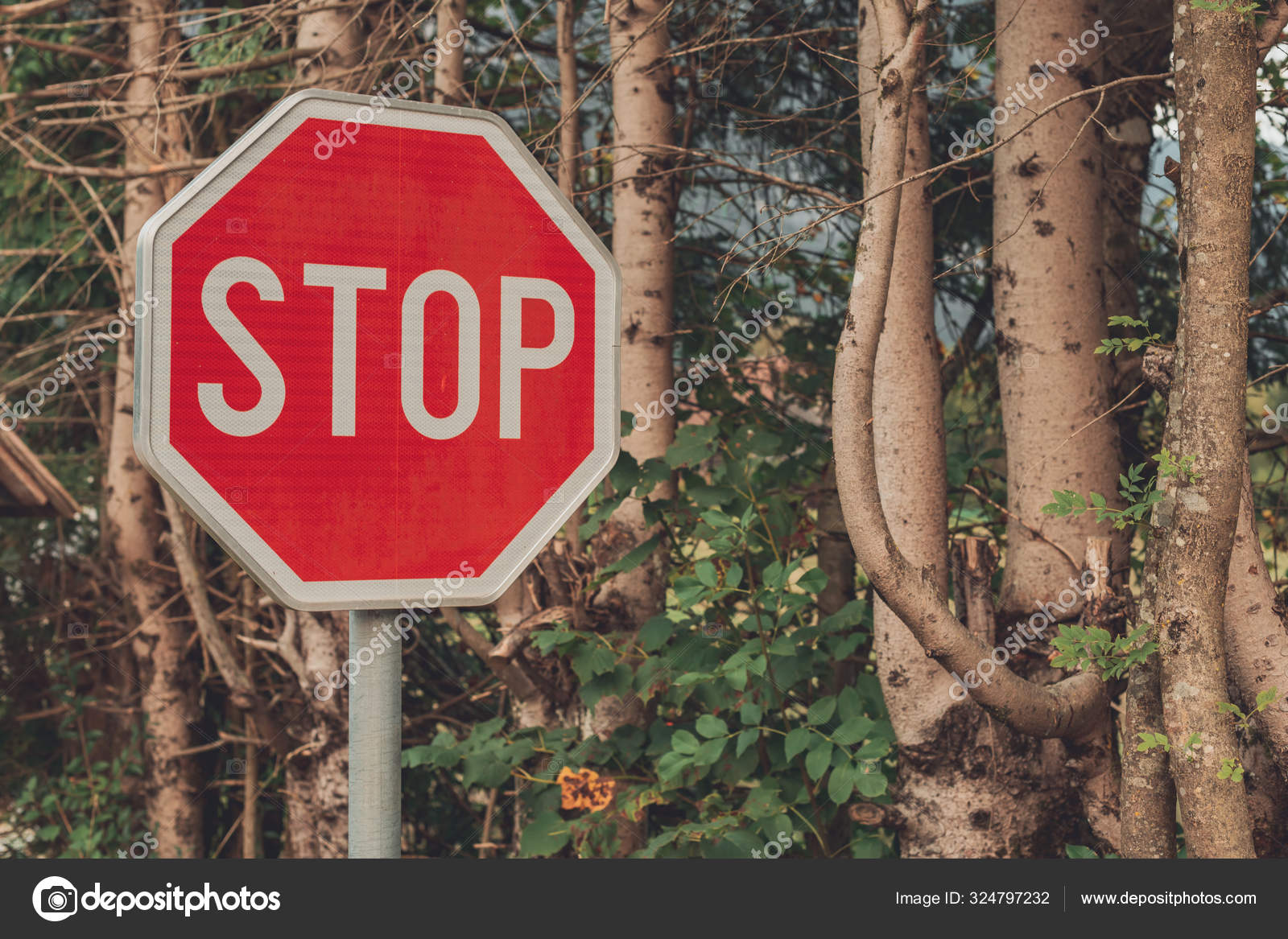 Stop sign in countryside Stock Photo by ©stevanovicigor 324797232