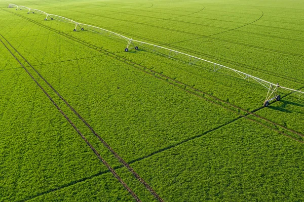 Aerial view of center-pivot irrigation sprinkler in young green wheat field, drone photography ...