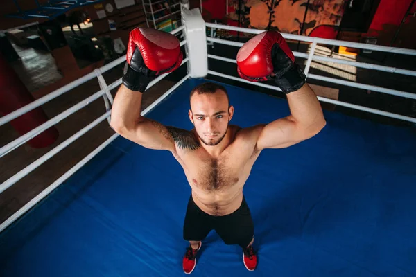 Boxer with raising hands up - Stock Image - Everypixel