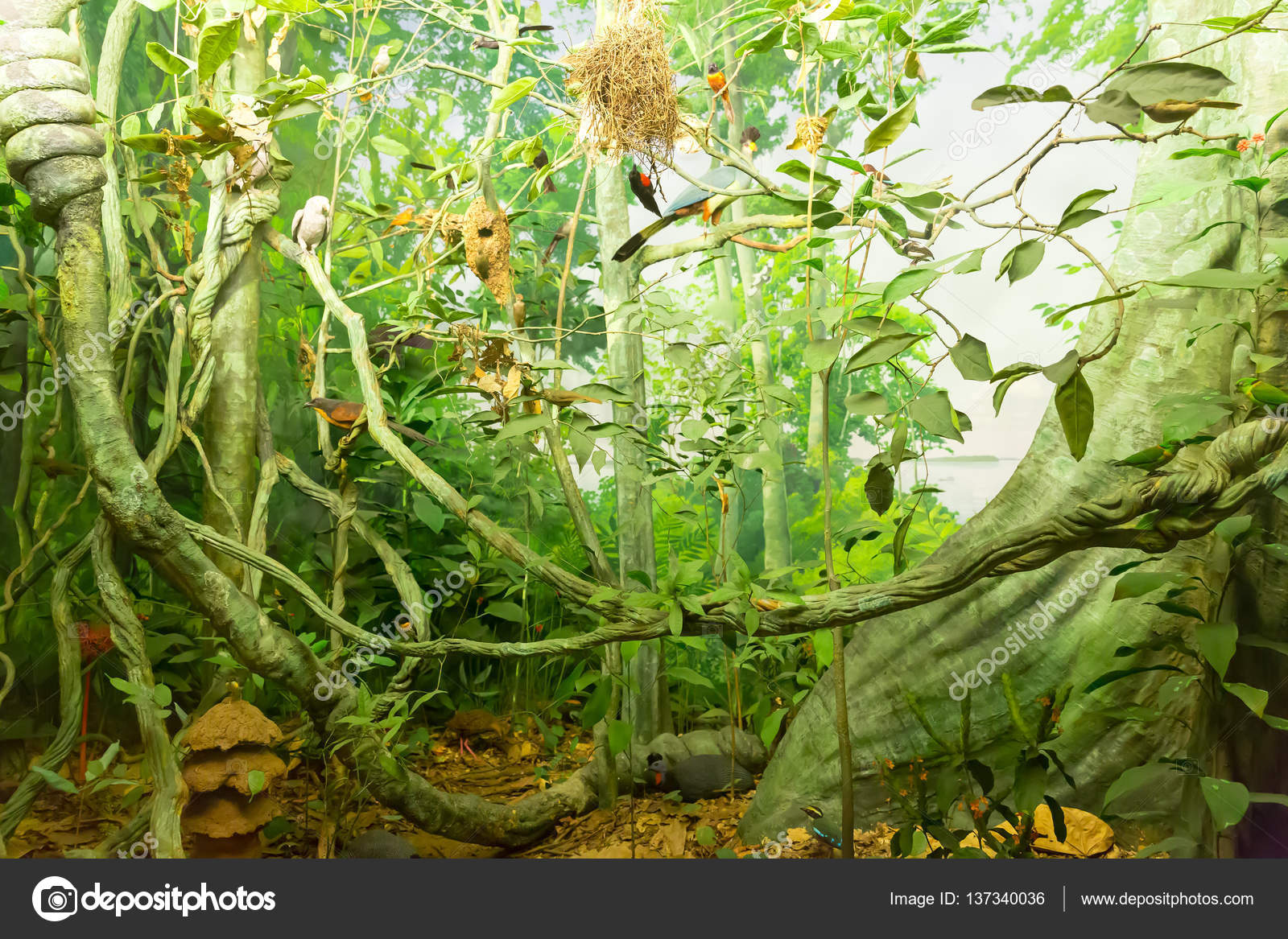 Mini model of natural forest Stock Photo by ©Nomadsoul1 137340036