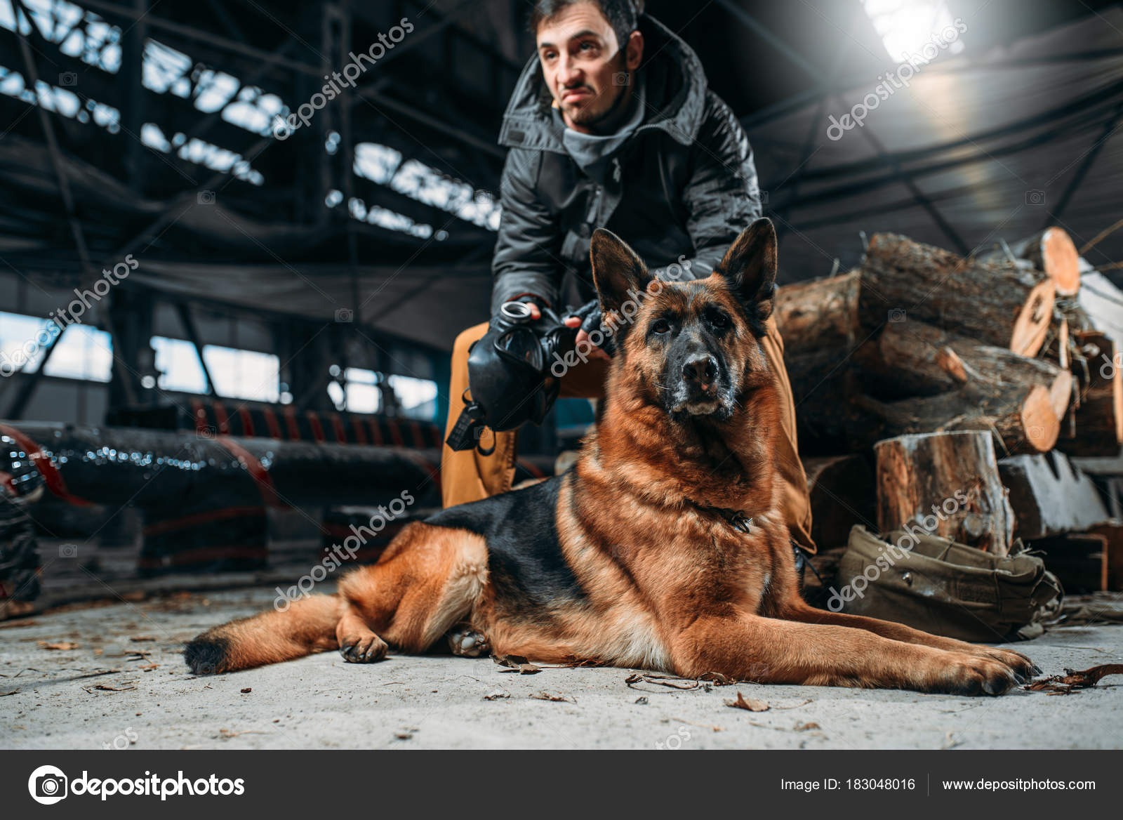 Stalker Dog Friends Post Apocalyptic World Post Apocalypse Lifestyle ...