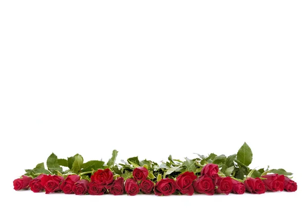 Rose box Stock Photos, Royalty Free Rose box Images | Depositphotos