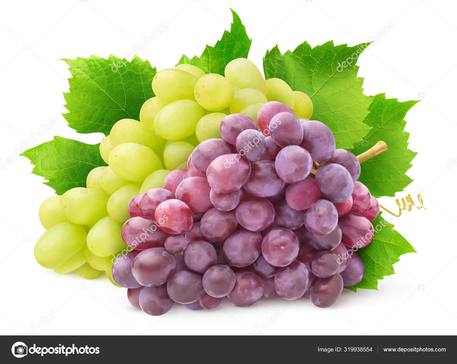 Two grape varieties Stock Photo by ©photomaru 319938554
