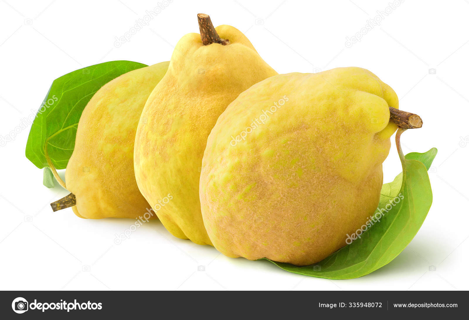 Tres frutas de membrillo sobre fondo blanco — Foto de stock #335948072 ...