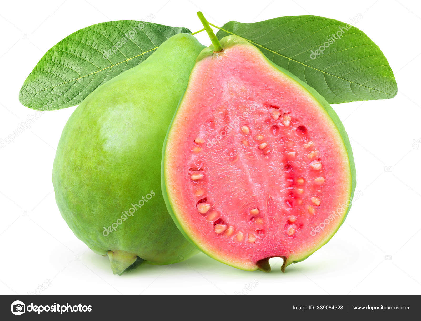 Isolado goiaba corte verde em um ramo — Foto © photomaru #339084528