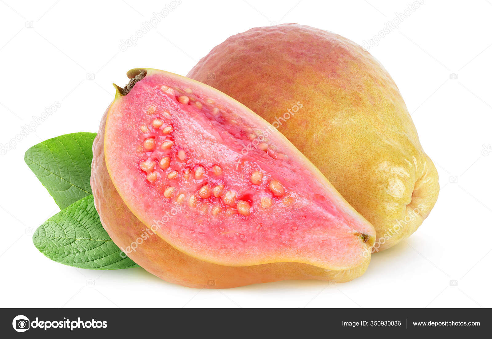 Isolated Guava Fresh Cut Guava Fruits Yellow Skin Pink Flesh Stock ...