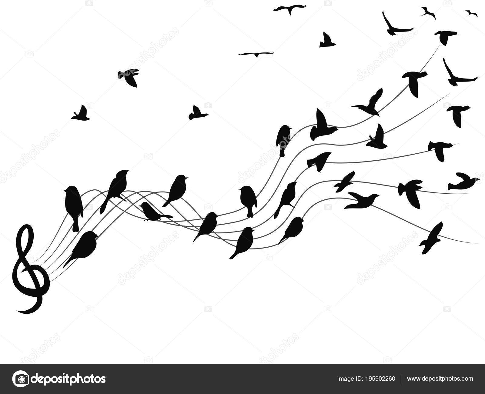 Isolated Black Birds Musical Notes White Background Stock Vector Image ...