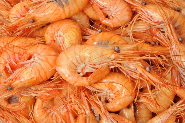 Skin pack seafood Stock Photos, Royalty Free Skin pack seafood Images ...