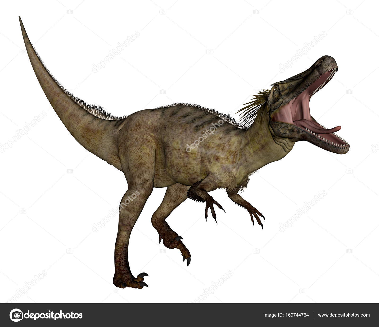 Austroraptor Vs Carnotaurus