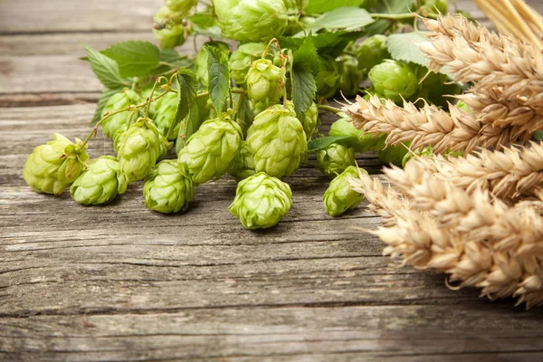 Malt and hops — Stock Photo © gdolgikh #127996236