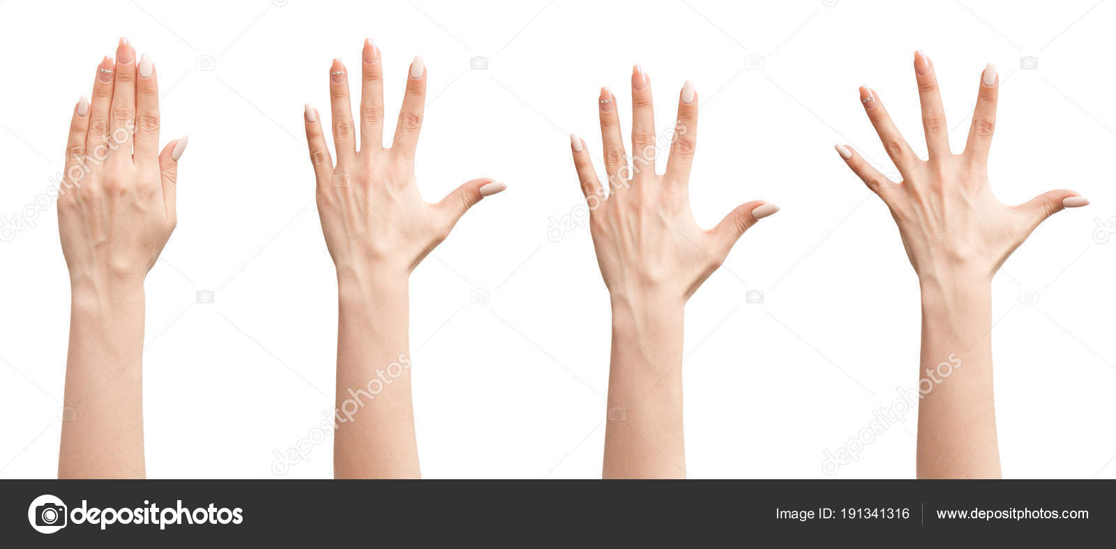Set of female hands Stock Photo by ©gdolgikh 191341316