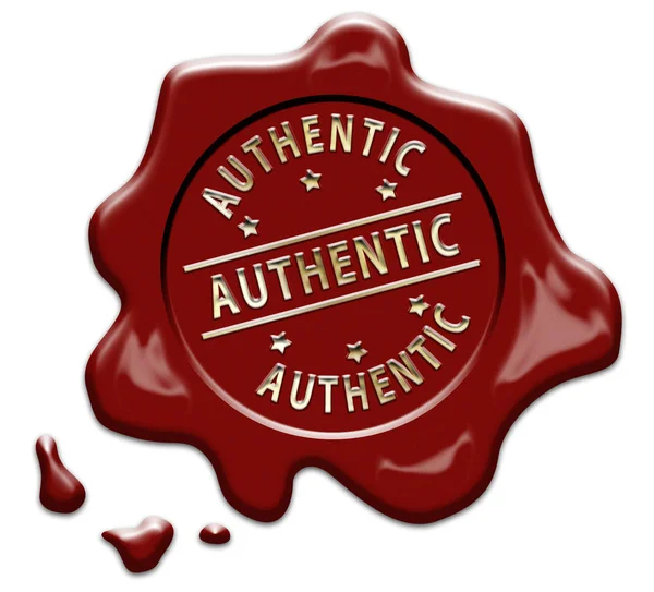 Rubber seal stamp - vector — Stock Vector © halina_photo #15419079