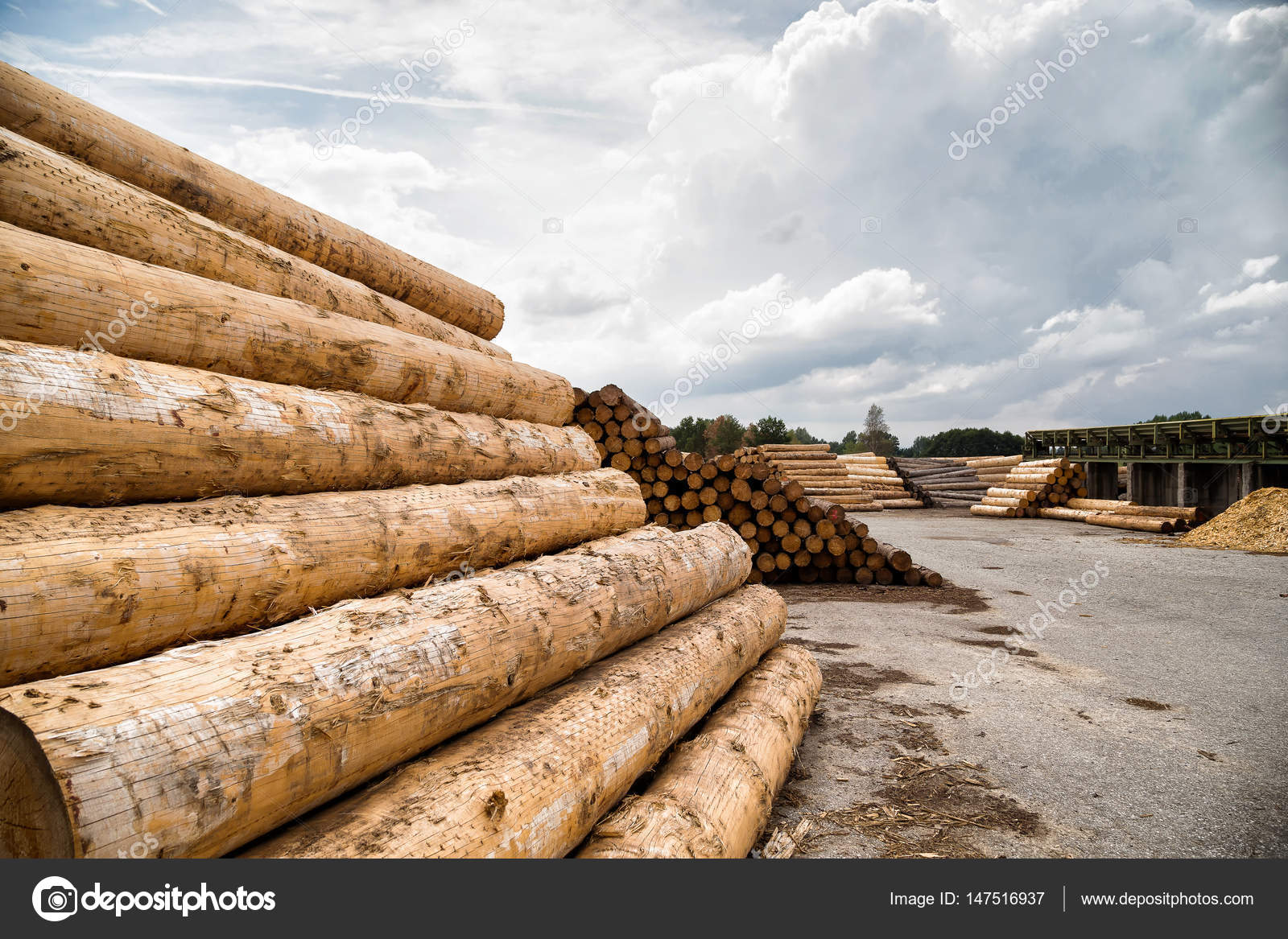 Piles Logs Timber Yard Stock Photo by ©Johann 147516937