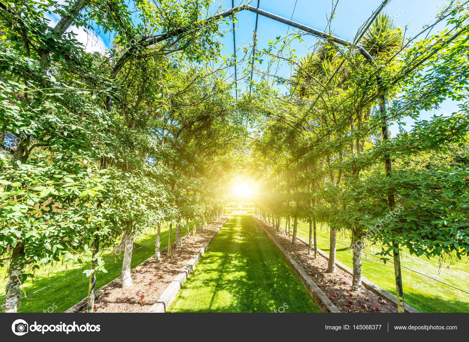 Green footpath under steel frame in park Stock Photo by ©zhudifeng ...
