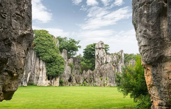 Stone forest Stock Photos, Royalty Free Stone forest Images | Depositphotos