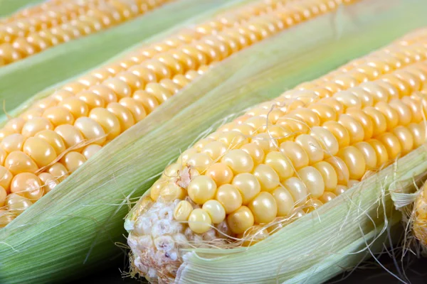 the ear of fresh corn - Stock Image - Everypixel