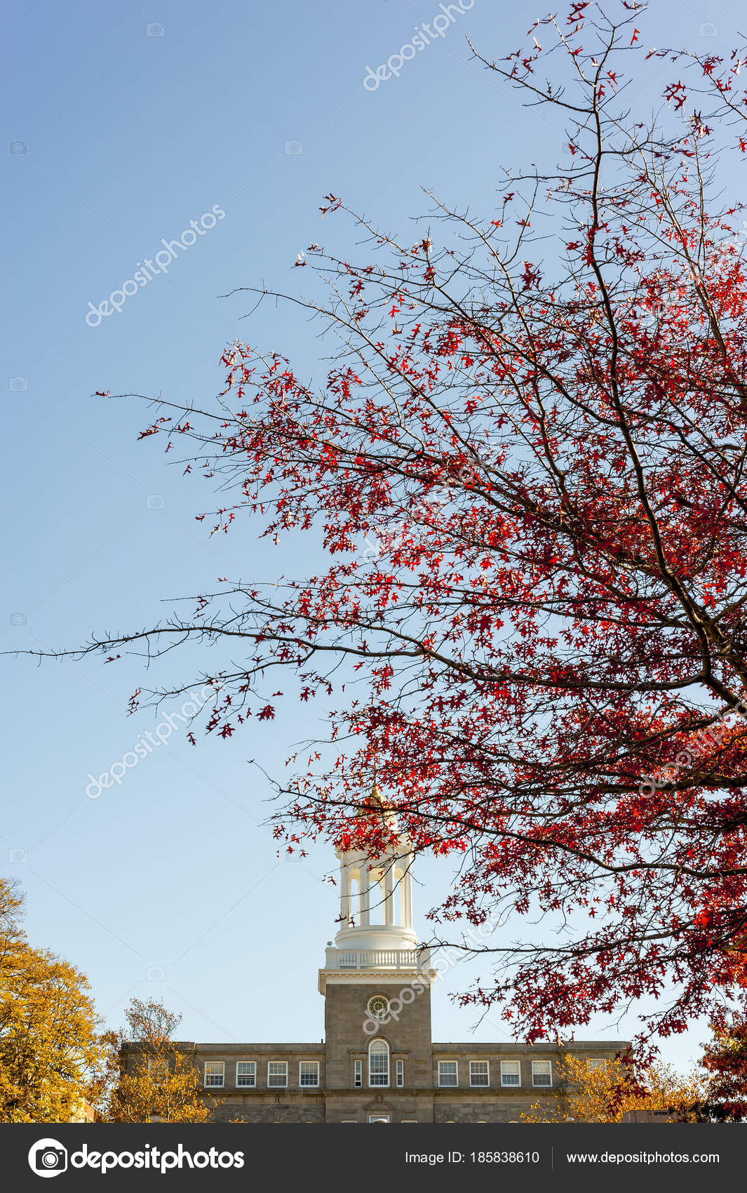 Fall Tree Branches Front Colonial Building — Stock Photo © j0ycem ...