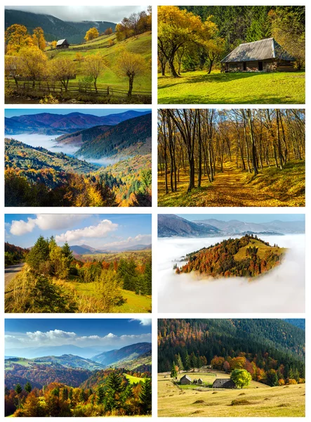 Collage fauna of Kenya — Stock Photo © kyslynskyy #129772496