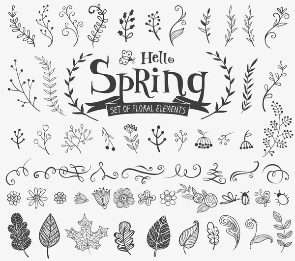 Collection of hand drawn vintage design elements — Stock Vector © An ...