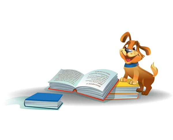 Illustration of squirrel and books — Stock Photo © pixologic #22791900